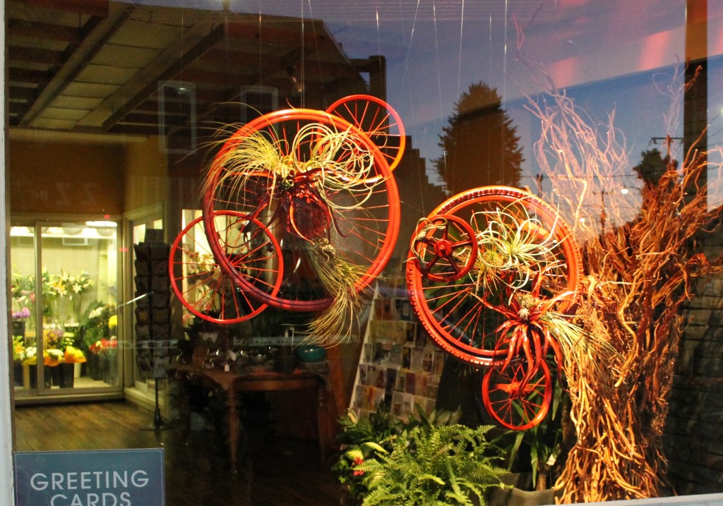 Air Plants on Wheels Window Display