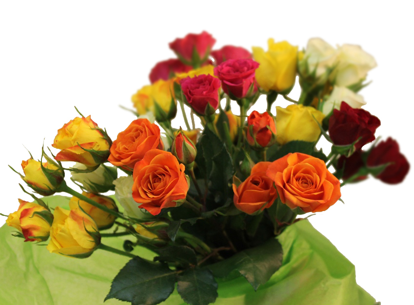 Super Special Spray Roses :: Martin's Flowers