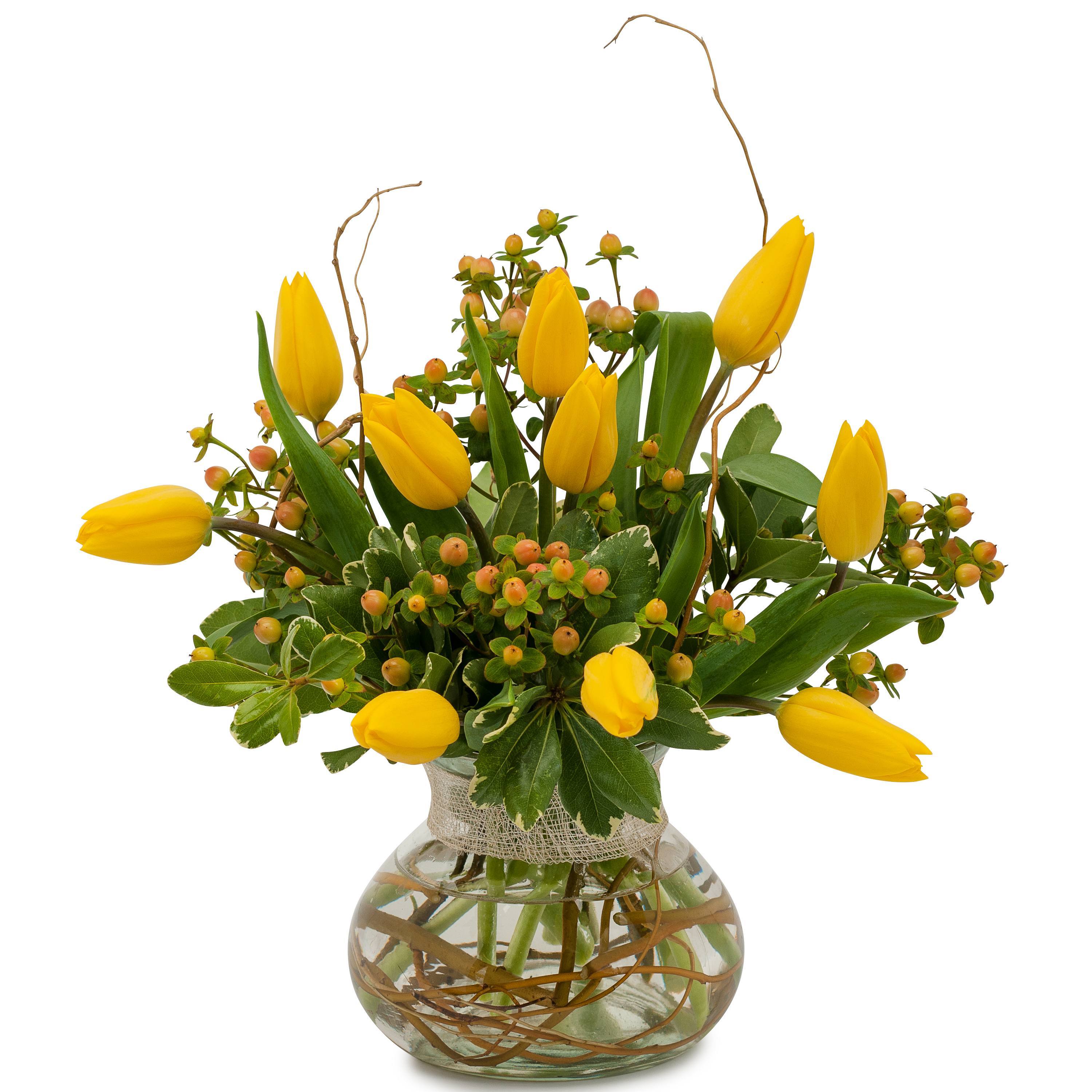 Fresh New Day :: Martin's Flowers